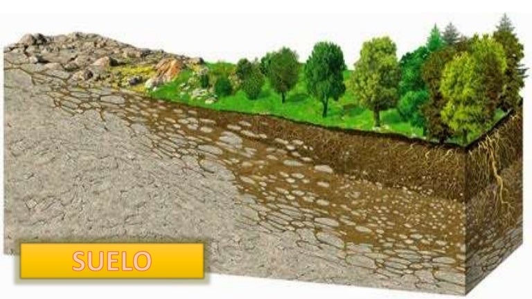 El Suelo (Rocas y Minerales)