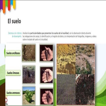 El suelo | PPTX