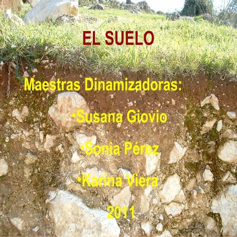 El suelo | PPT