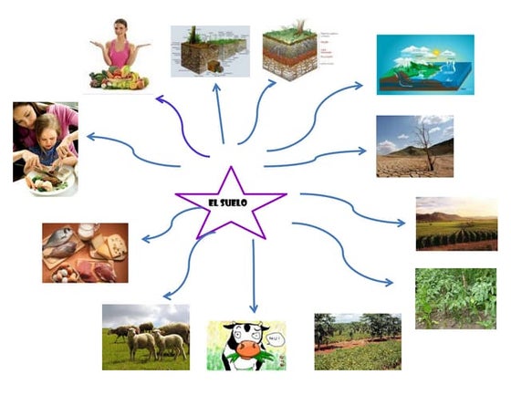 El suelo (sopa de letras) | PPTX