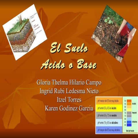 El suelo presentacion | PPT