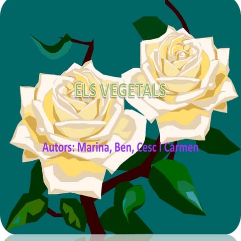 Els vegetals | PPTX