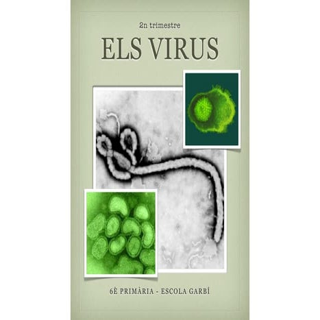Els virus | PPT