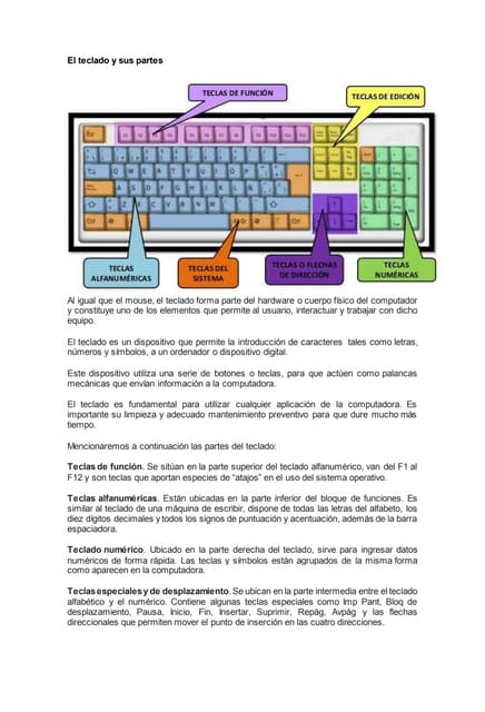 Presa Soplar Araña Nombre De Las Teclas Del Teclado Y Sus Funciones