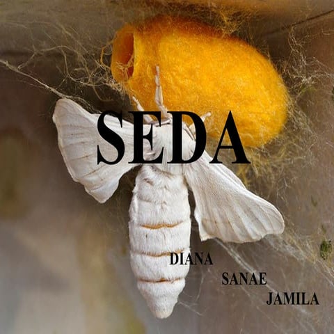 El treball de seda | PPT