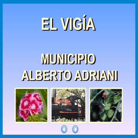 El Vigia Municipio Alberto Adriani | PPT