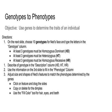 Genotypes to phenotypes | PPT