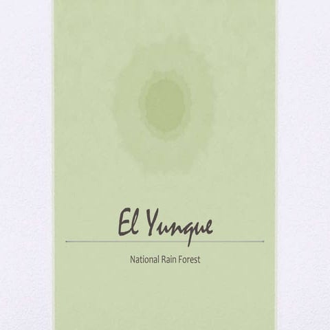 El Yunque Rain Forest Presentation | PPTX
