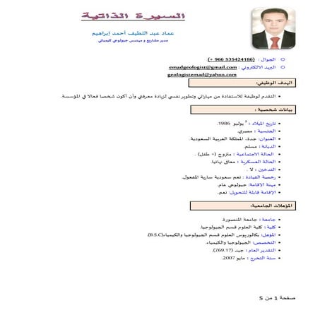 Emad cv-ar | PDF