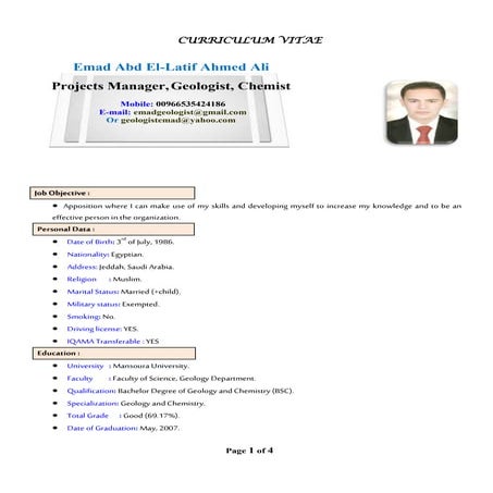 Emad cv en | PDF | Commodities | Economy