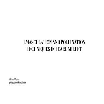 Emasculation ,bagging and crossing | PPTX