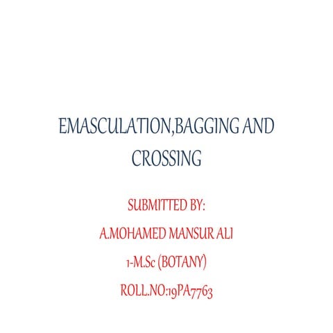 Emasculation ,bagging and crossing | PPTX