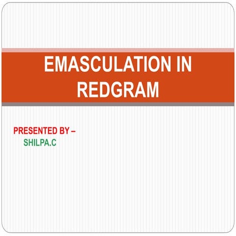 Emasculation in red gram | PPTX