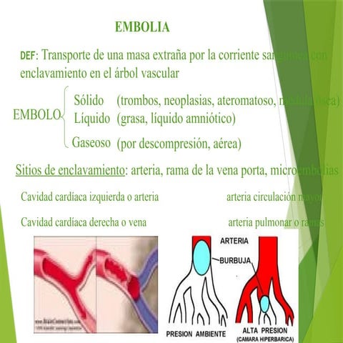 Resumen de la Embolia isquemia en animales | PPTX