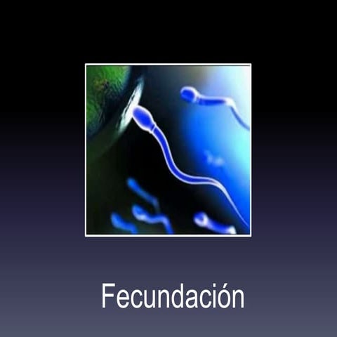 Fecundacion | PPTX