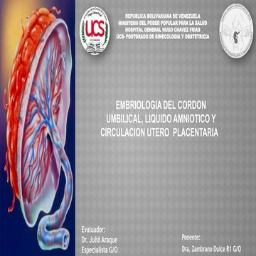 embrio cordon umbilical y LA corion y amnios.pptx