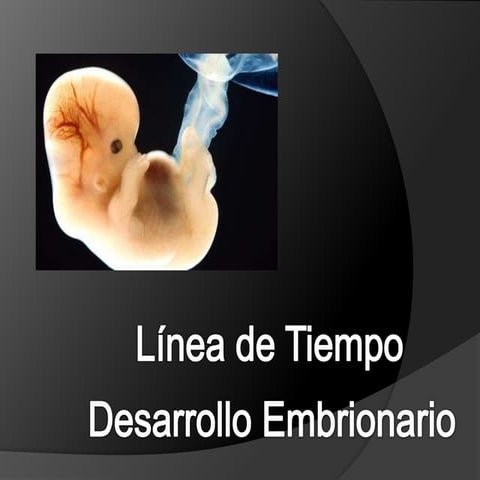 Embriogenesis | PPTX