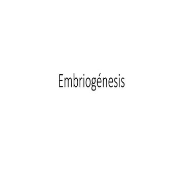 Embriogenesis powerpoint universidad moron.pdf