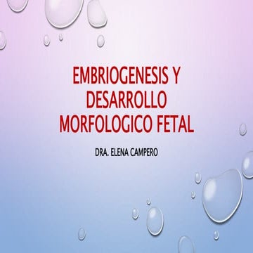 EMBRIOGENESIS Y DESARROLLO MORFOLOGICO FETAL.pptx