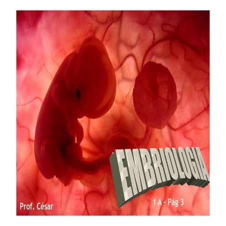 Embriogênese - Tipos de ovos e segmentação | PDF