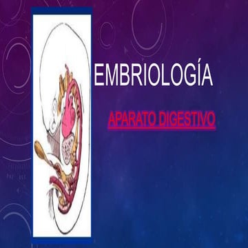 Embriología del Sistema Digestivo | PPTX