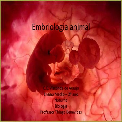 Desenvolvimento embrionário dos animais 2