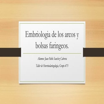 Arcos, Hendiduras Y Bolsas FaríNgeas | PPT