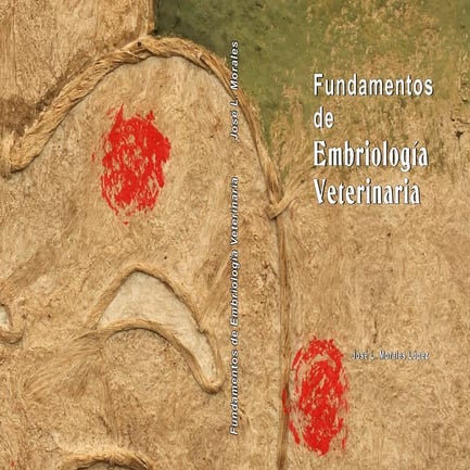 Embriologia clase 1 | PPTX