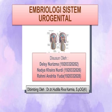 embriologi sistem urogenital.pptx