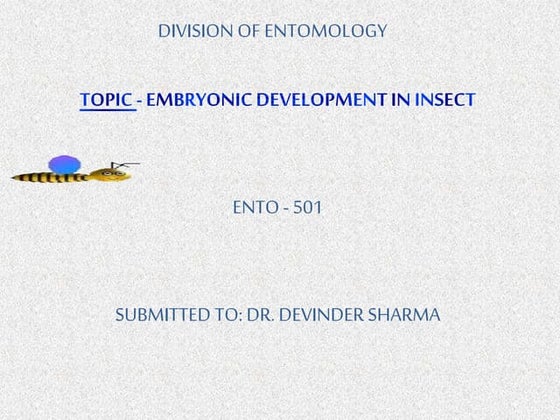 Type of Insect head | PPT