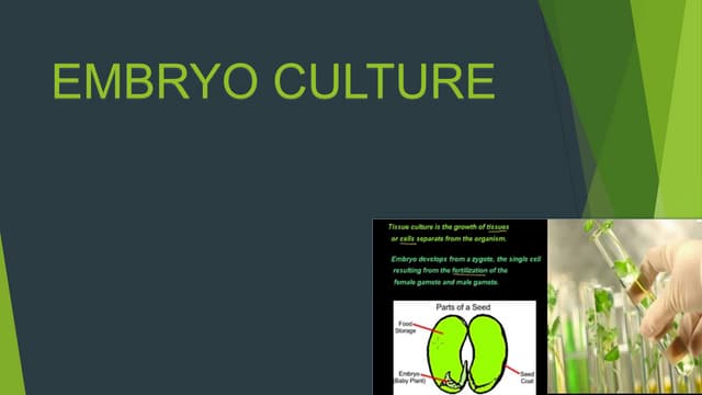 Embryo Culture - Aspects, Types & Application | PPTX