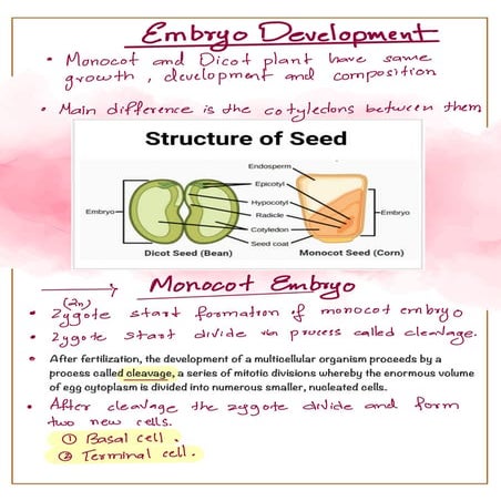 Deveopment of embryo in monocot and dicot | PPTX