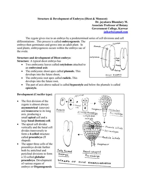 Types of embryo sac | PPTX