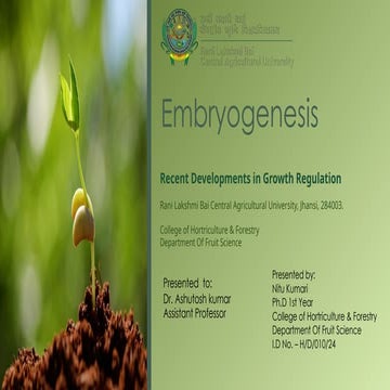 Comprehensive Overview of Ocean Geography, Zones, and Seafloor Mapping ...