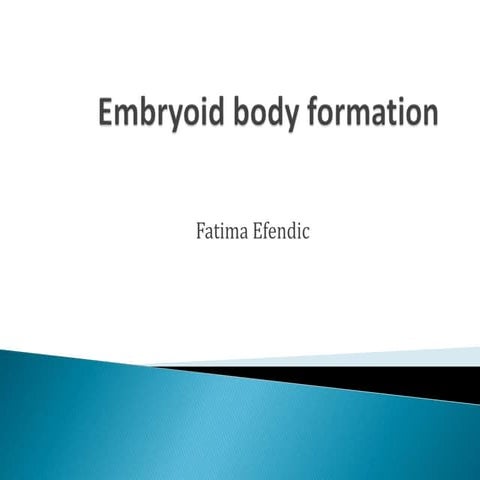 Embryoid body formation | PPT
