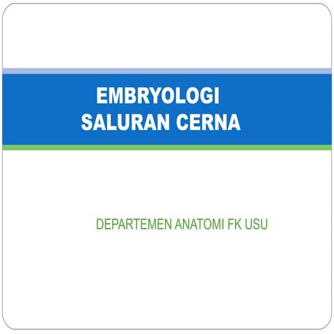 Embryologi sal cerna, rev | PPT