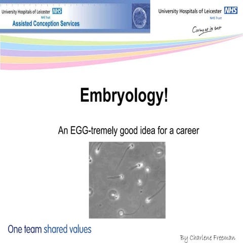 Embryology | PPT