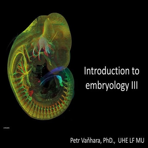 Langman's Medical Embryology 14th Ed.pdf