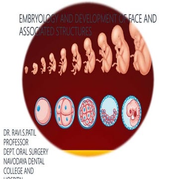 EMBRYOLOGY.pptx