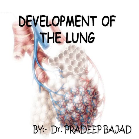 development of lung | PPT
