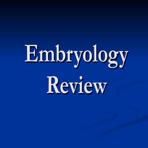 EMBRYOLOGY 2.1Y WEEK 3 TO weeks 8.powerpoint | PPT