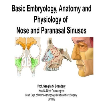 Embryology, Anatomy and Physiology of the Nose and Paranasal Sinuses.pptx