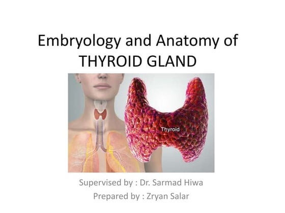 thyroidectomy notes.pptx
