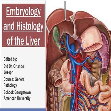 Embryology and histology of the liver | PPTX