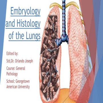 Lecture13 microscopic structure of the respiratory | PPT