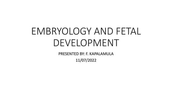 Human embryonic development | PPT | Infertility | Reproductive Health