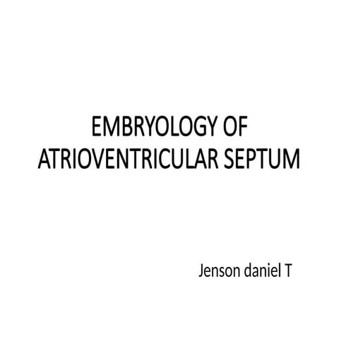 Embryology of atrioventricular septum mbbs year 1 | PPTX