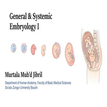 Embryology | PPTX
