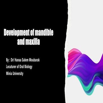 embryology (maxilla and mandibule development) .pdf