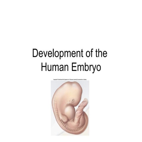 Embryology (mo) | PPT